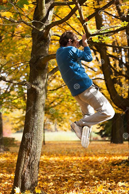 Man Pulling Up Himself on the Tree Stock Image - Image of landscape ...
