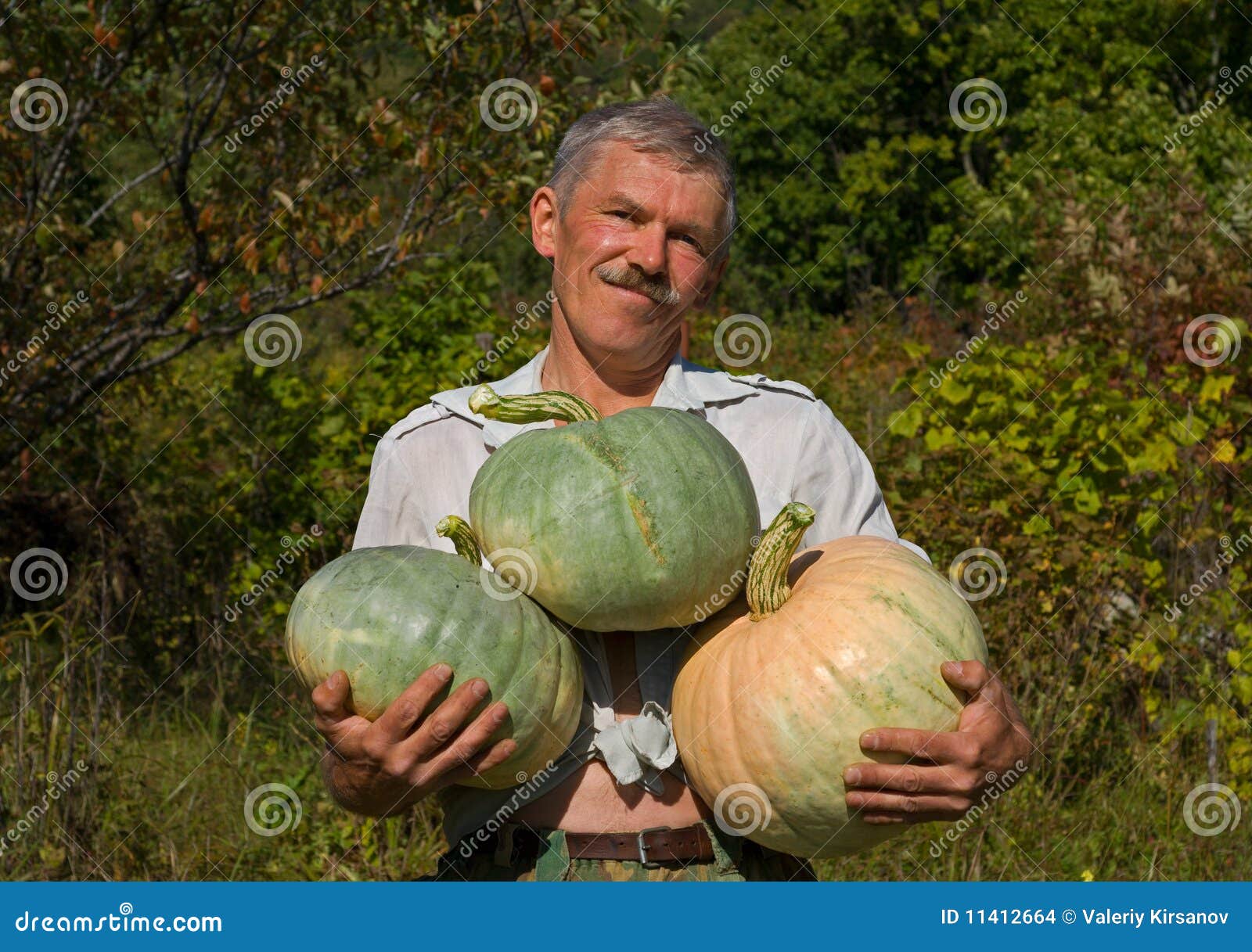 Man with pumpkins 8 stock photo. Image of outdoors, produce - 11412664