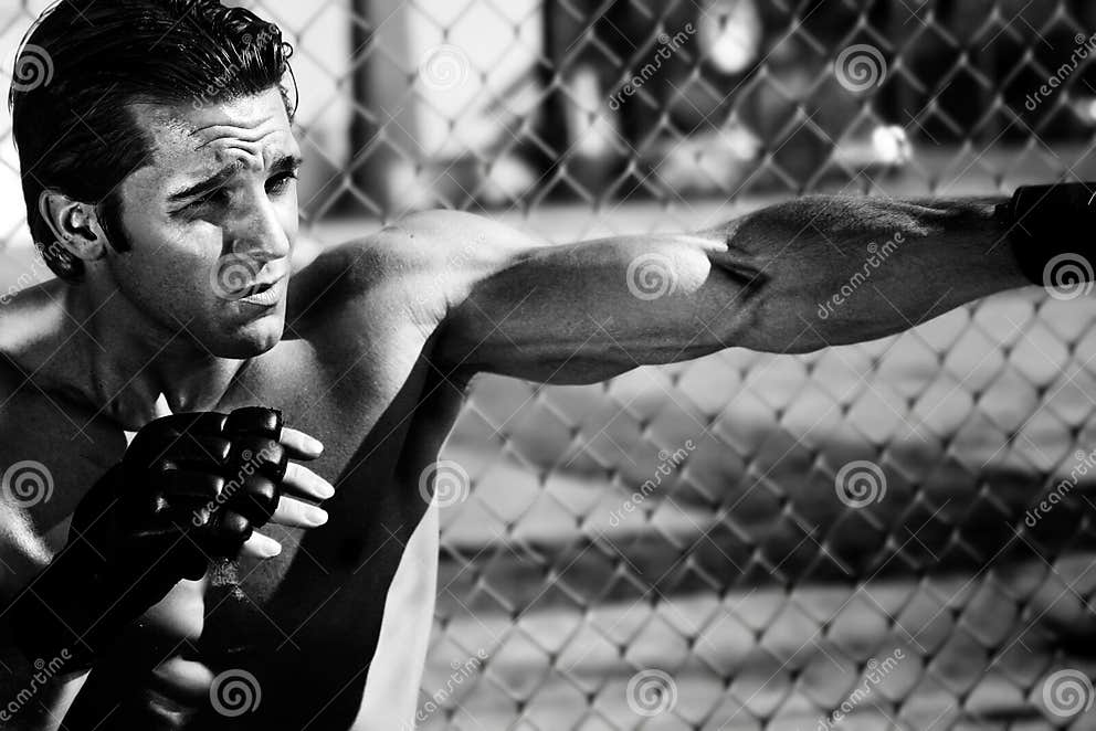 Man punching stock image. Image of male, bicep, caucasian - 6967339