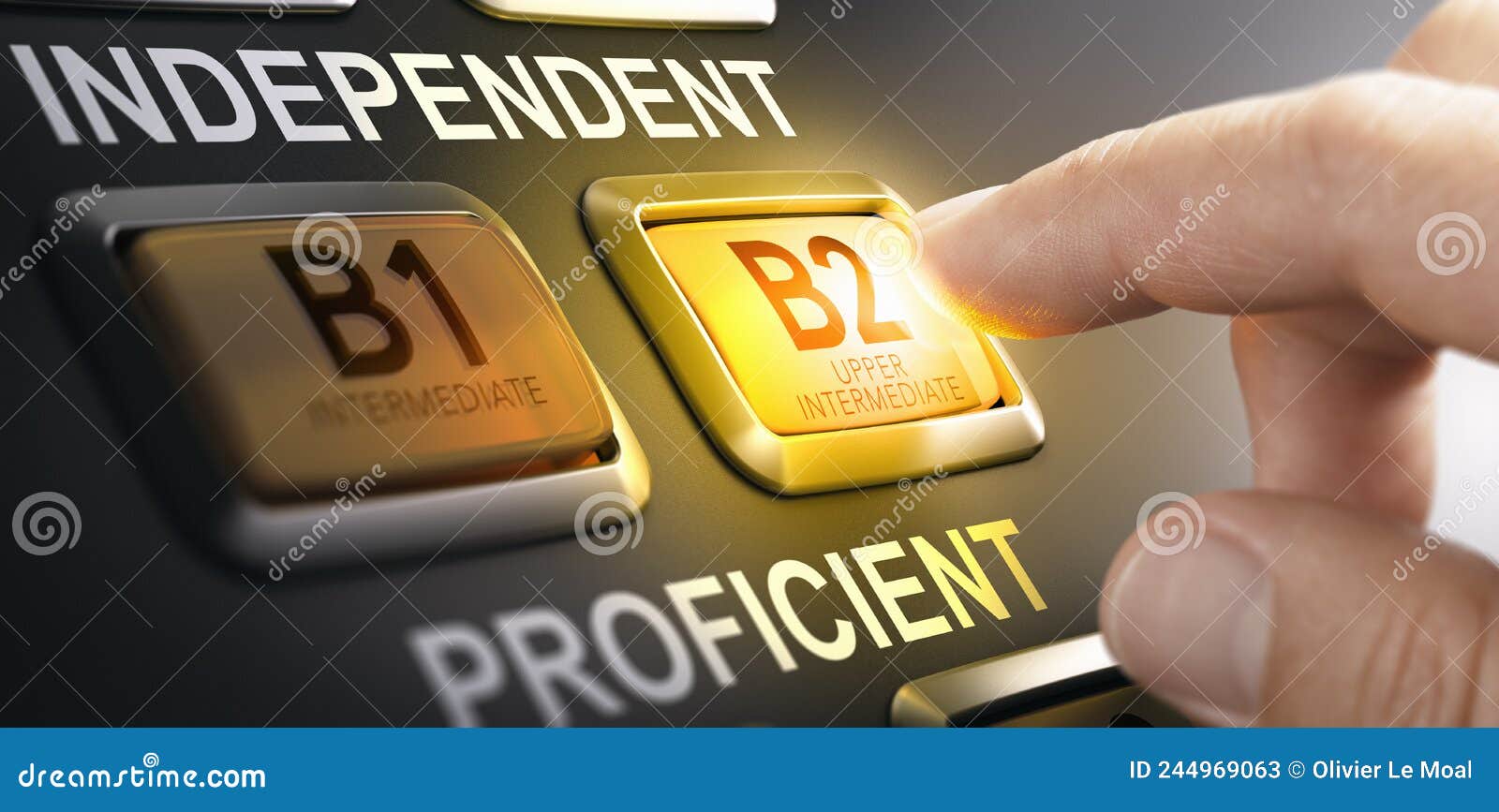 Language Proficiency Line Icons Collection. Fluency, Mastery ...