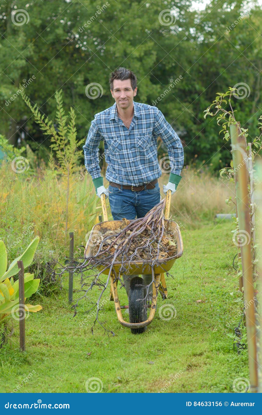Man Pushing Wheelbarrow Prunings Stock Photo - Image of energetic, hard ...
