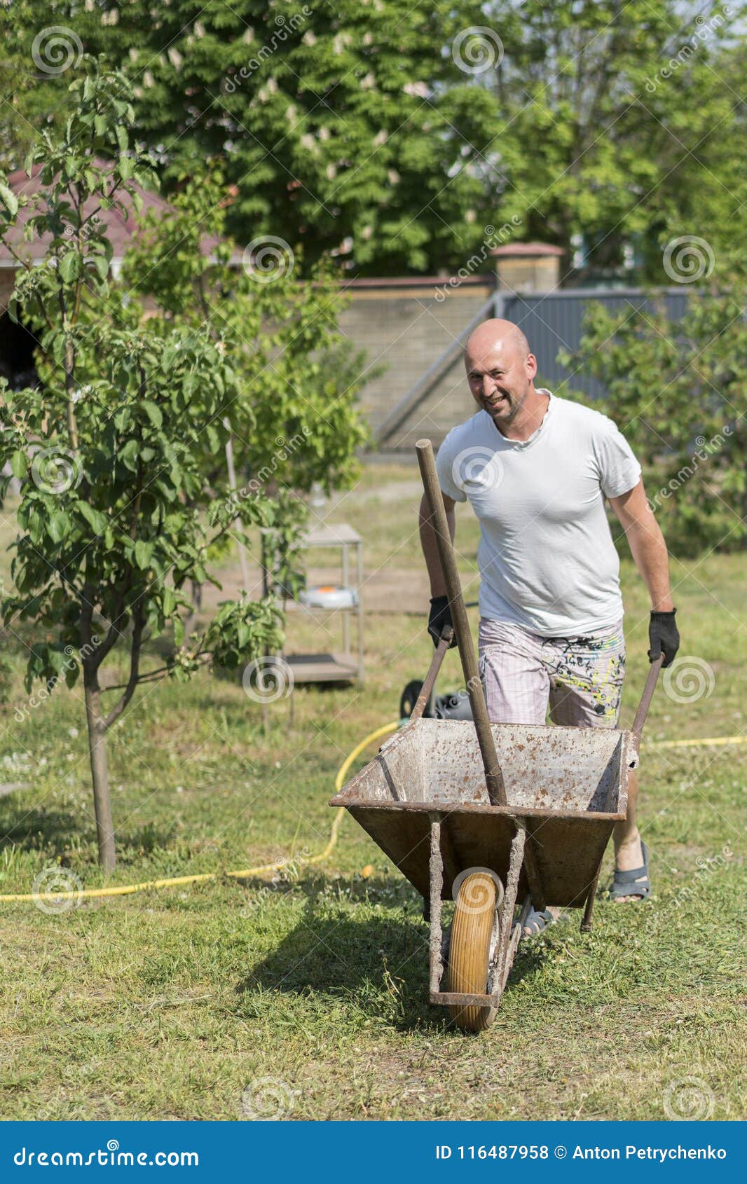 Man Pushing Wheelbarrow. Young Man Pushing a Wheelbarrow on the Farm ...