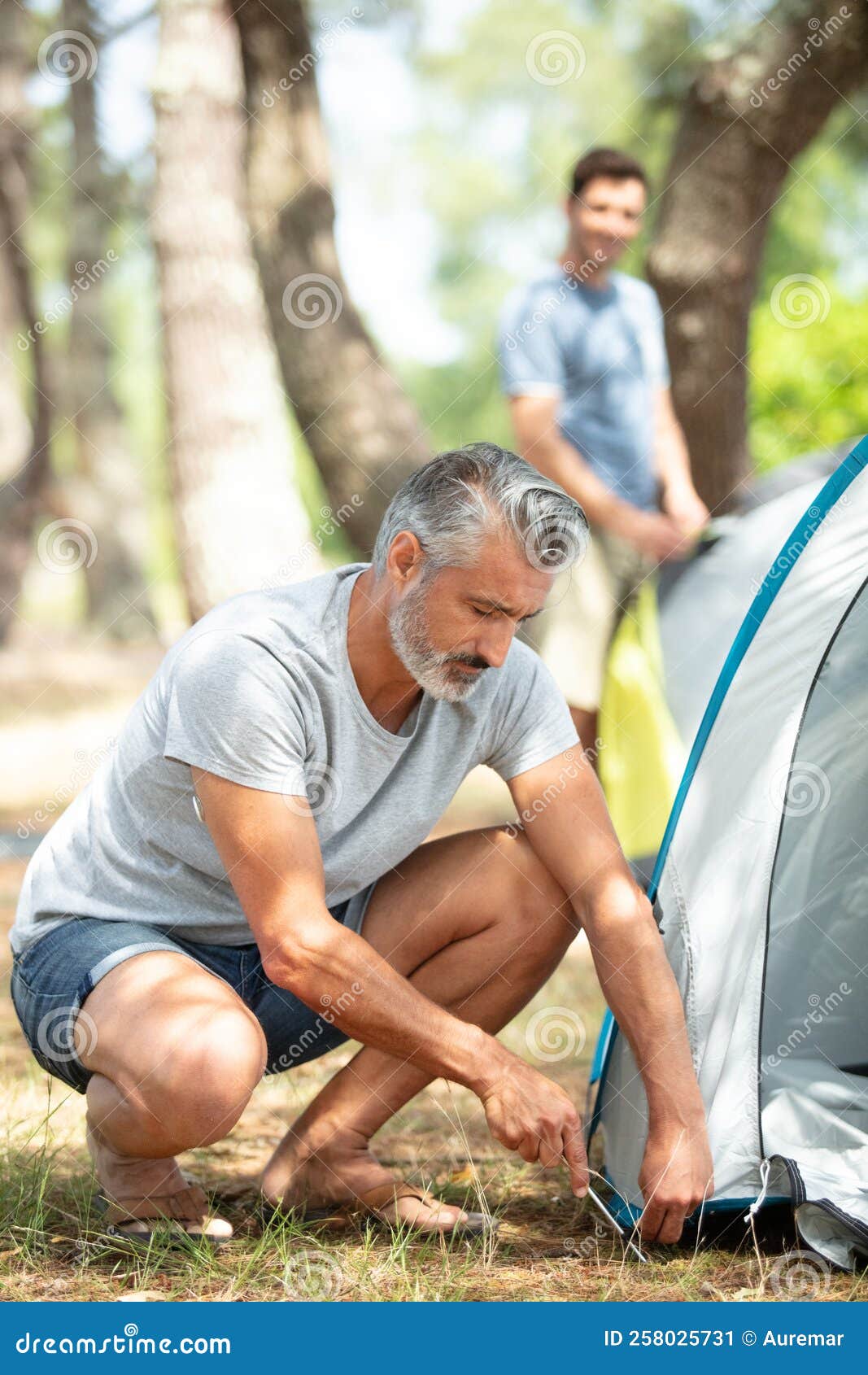 Man Pusing Tent Pegs into Grass Stock Image - Image of ...