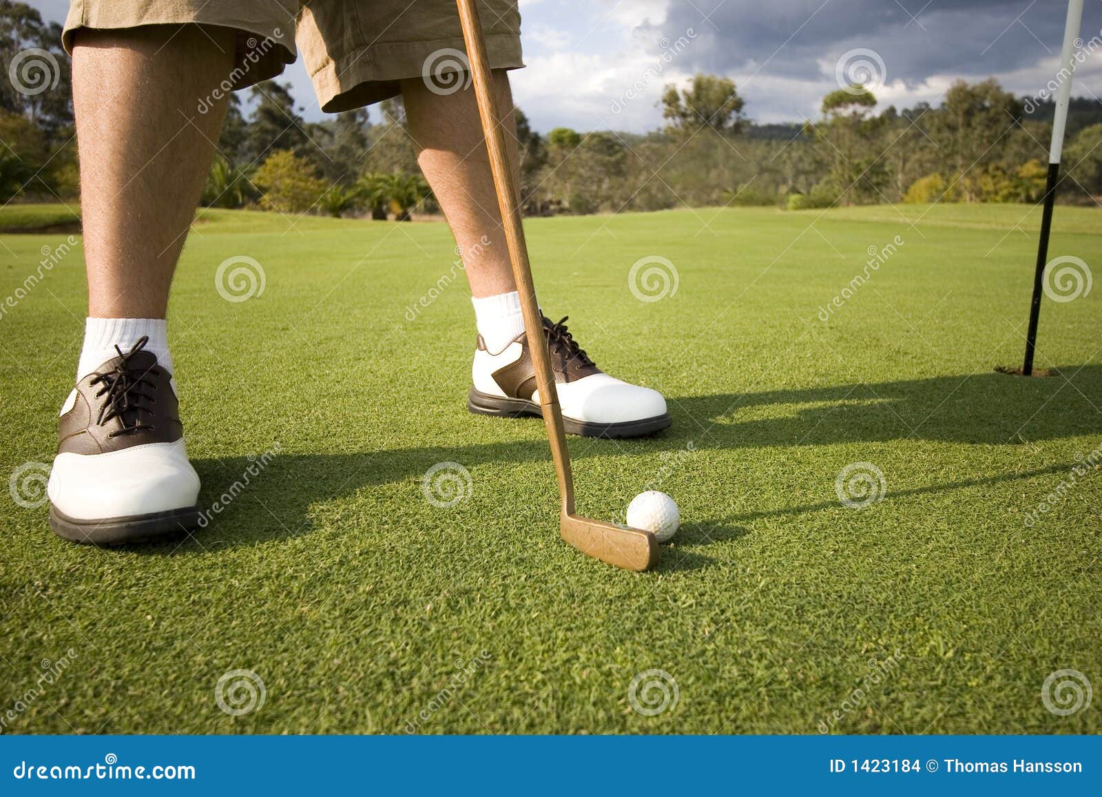 Man putting stock photo. Image of shorts, grass, putt - 1423184
