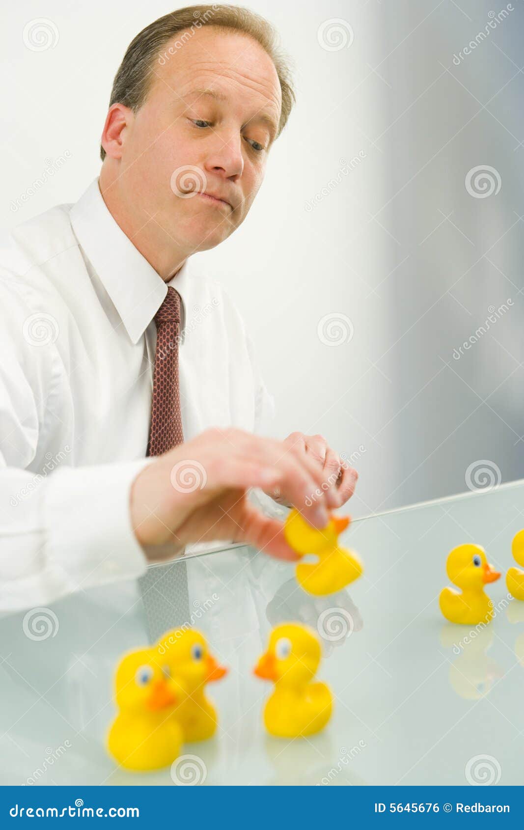 Man putting ducks in a row stock photo. Image of corporate - 5645676