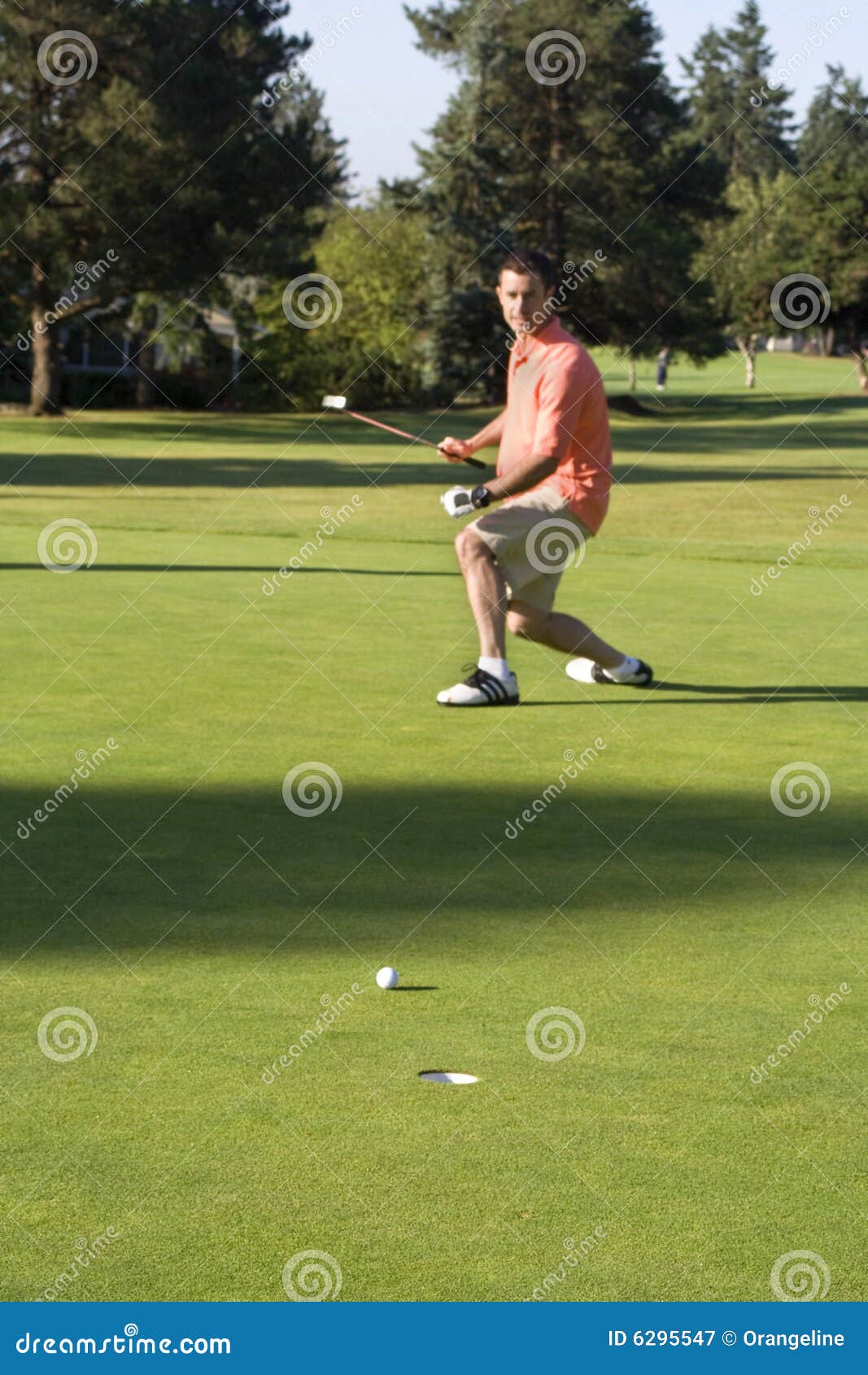 Man Putting on Golf Course stock image. Image of sport - 6295547