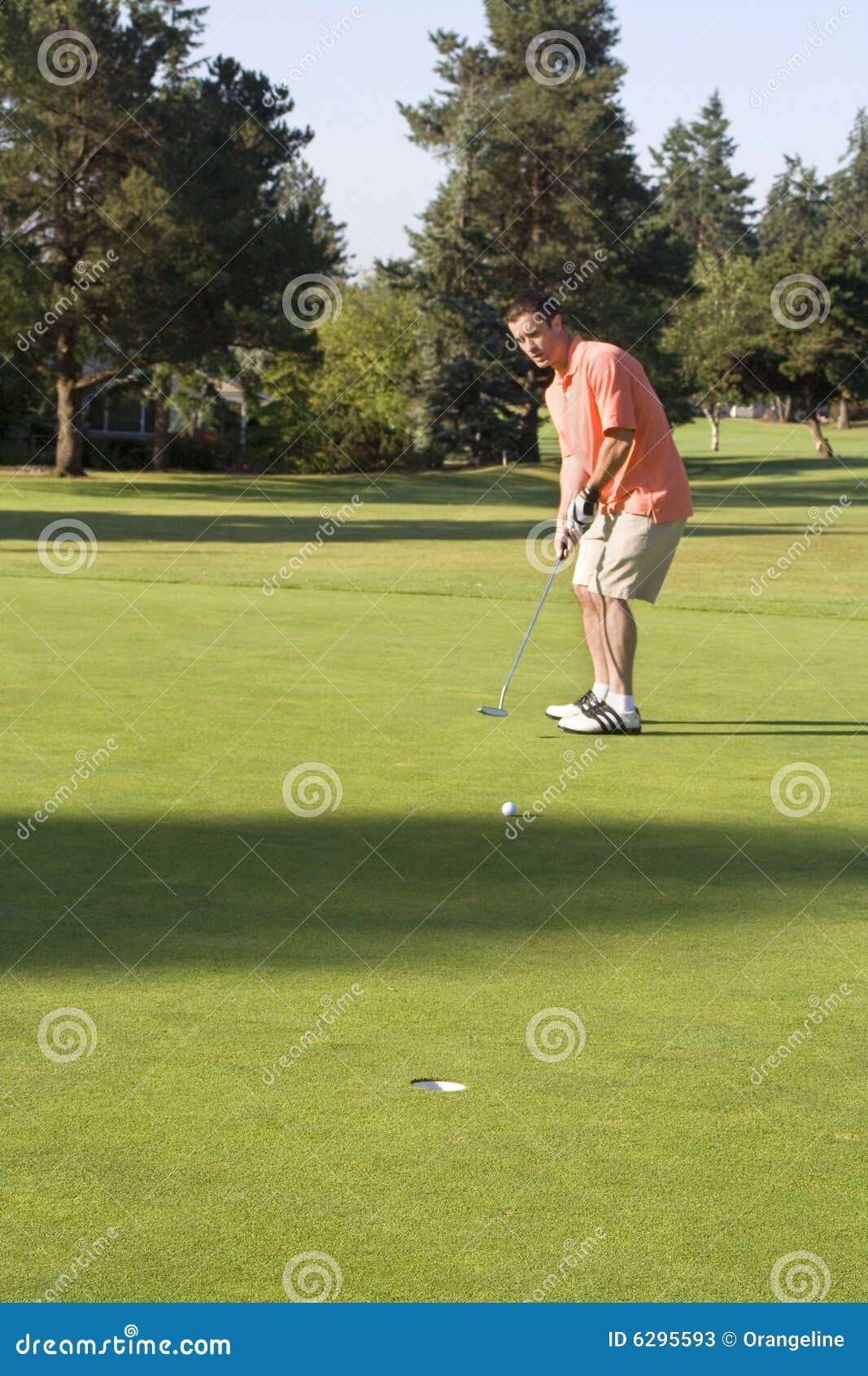 Man Putting on Golf Course stock image. Image of upright - 6295593