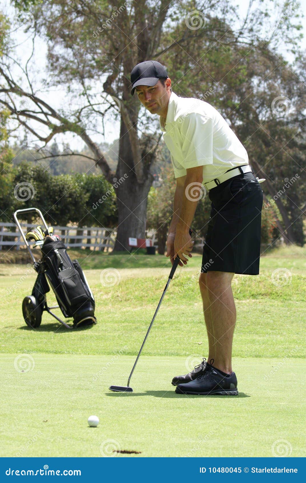 Man Putting on the Green stock image. Image of green - 10480045