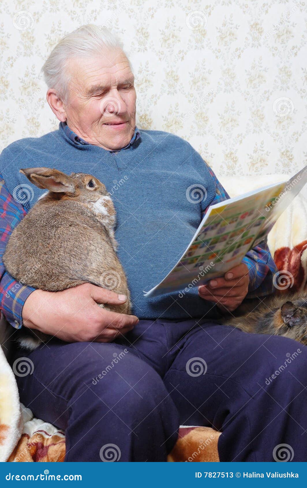 Man with rabbit stock image. Image of happiness, happy - 7827513