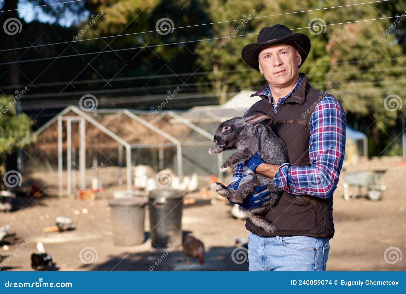 Man with Rabbit. Farmer Holds Bunny in Farm. Stock Photo - Image of ...