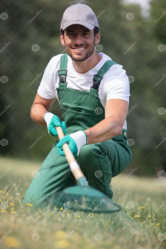 Man with Rake on Green Grass Stock Image - Image of leaf, cleanup ...