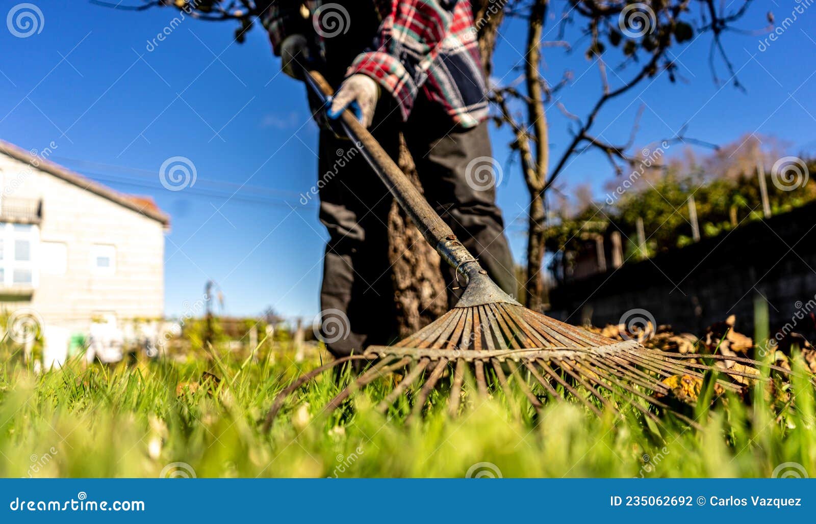 Man picking leaves stock photo. Image of park, lawn - 235062692