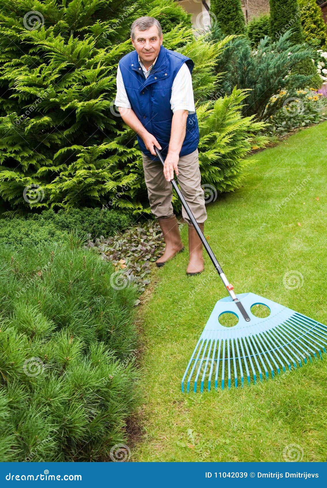 Man raking garden stock image. Image of environment, grow - 11042039