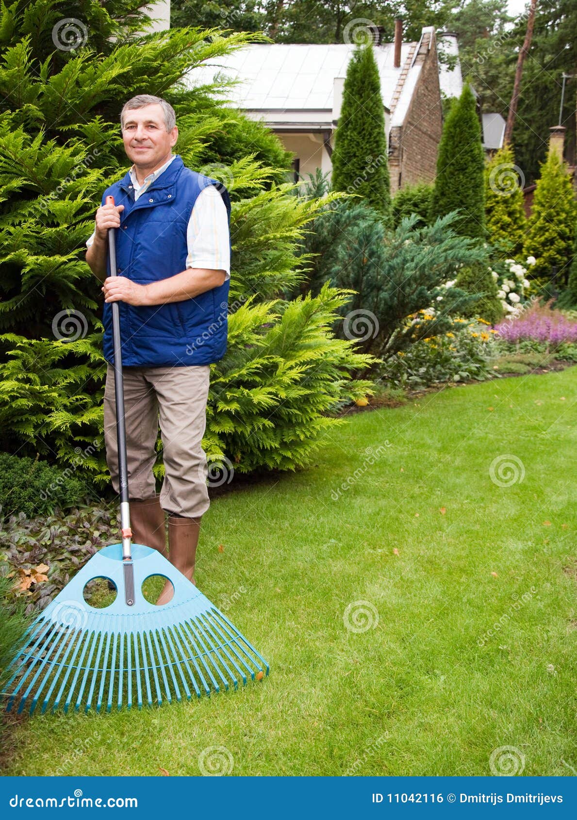 Man raking garden stock photo. Image of landscaping, growth - 11042116