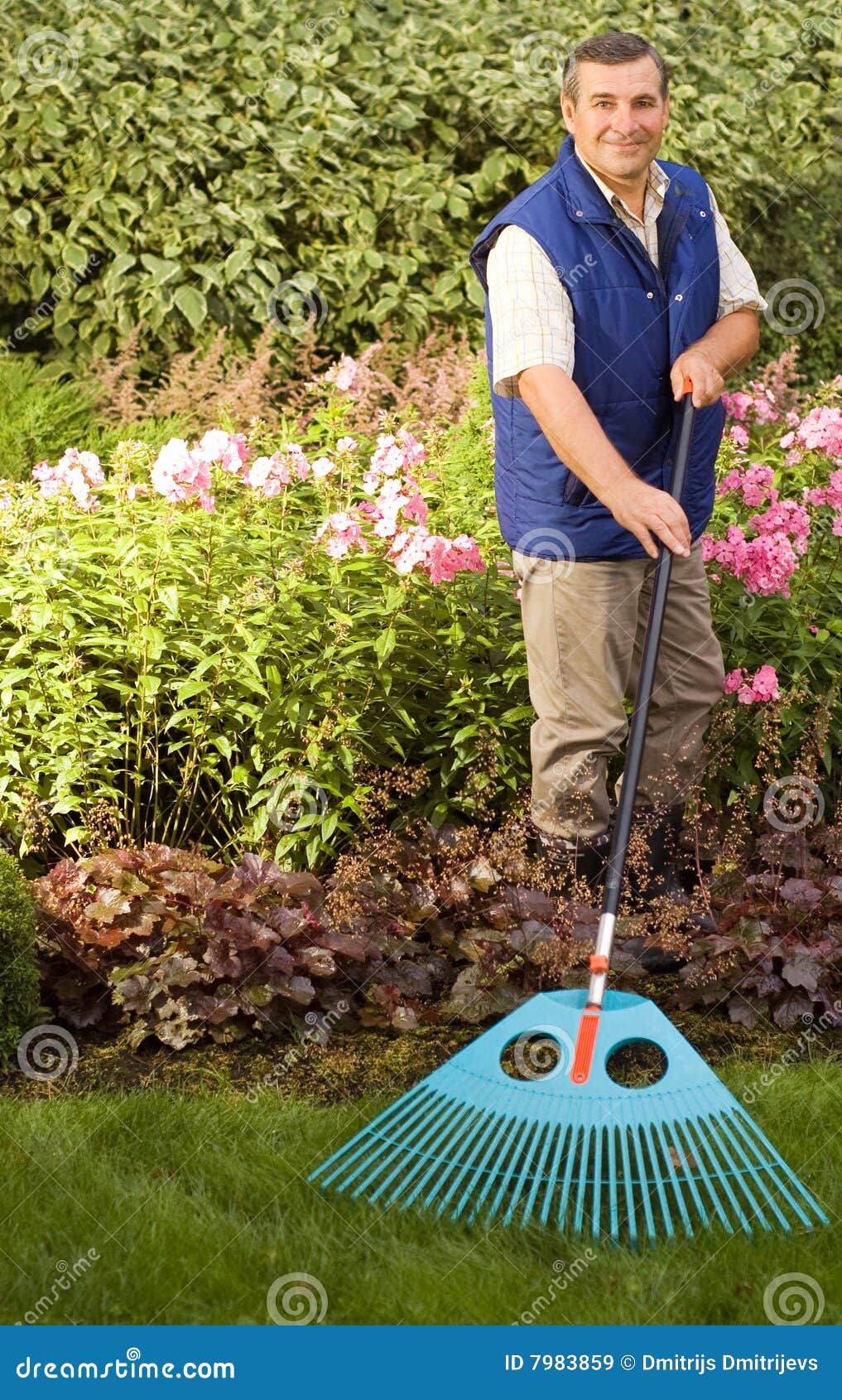 Man raking garden stock image. Image of hobby, home, gardening - 7983859
