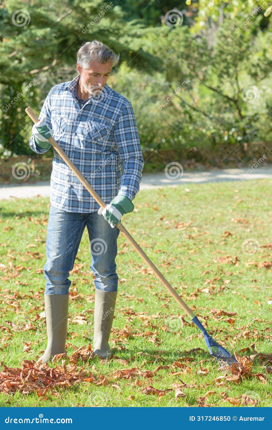 Man raking leaves stock photo. Image of labore, tool - 317246850