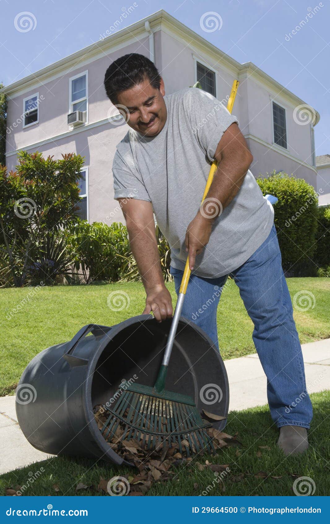 Man Raking Leaves in Garden Stock Photo - Image of leisure, chores ...