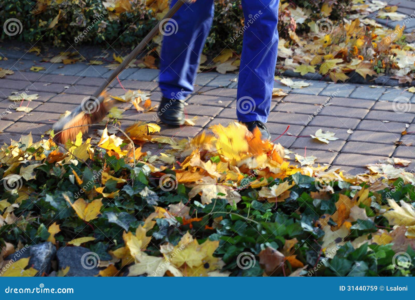 Man Raking Leaves in the Garden Stock Image - Image of cleaning, raking ...