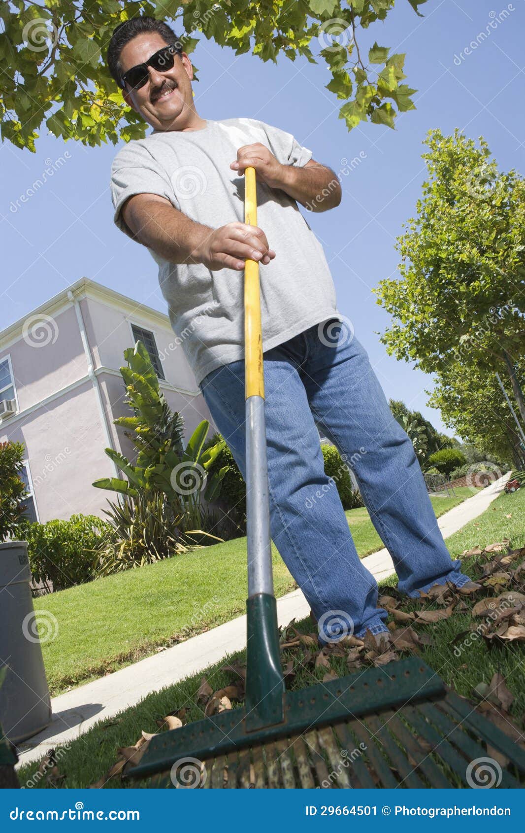 Man Raking Leaves in Lawn stock image. Image of male - 29664501