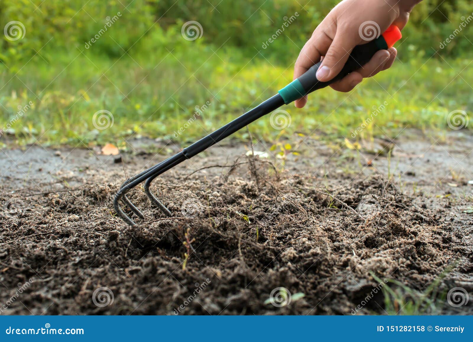 Man Raking Soil Outdoors, Closeup Stock Photo - Image of farmer ...