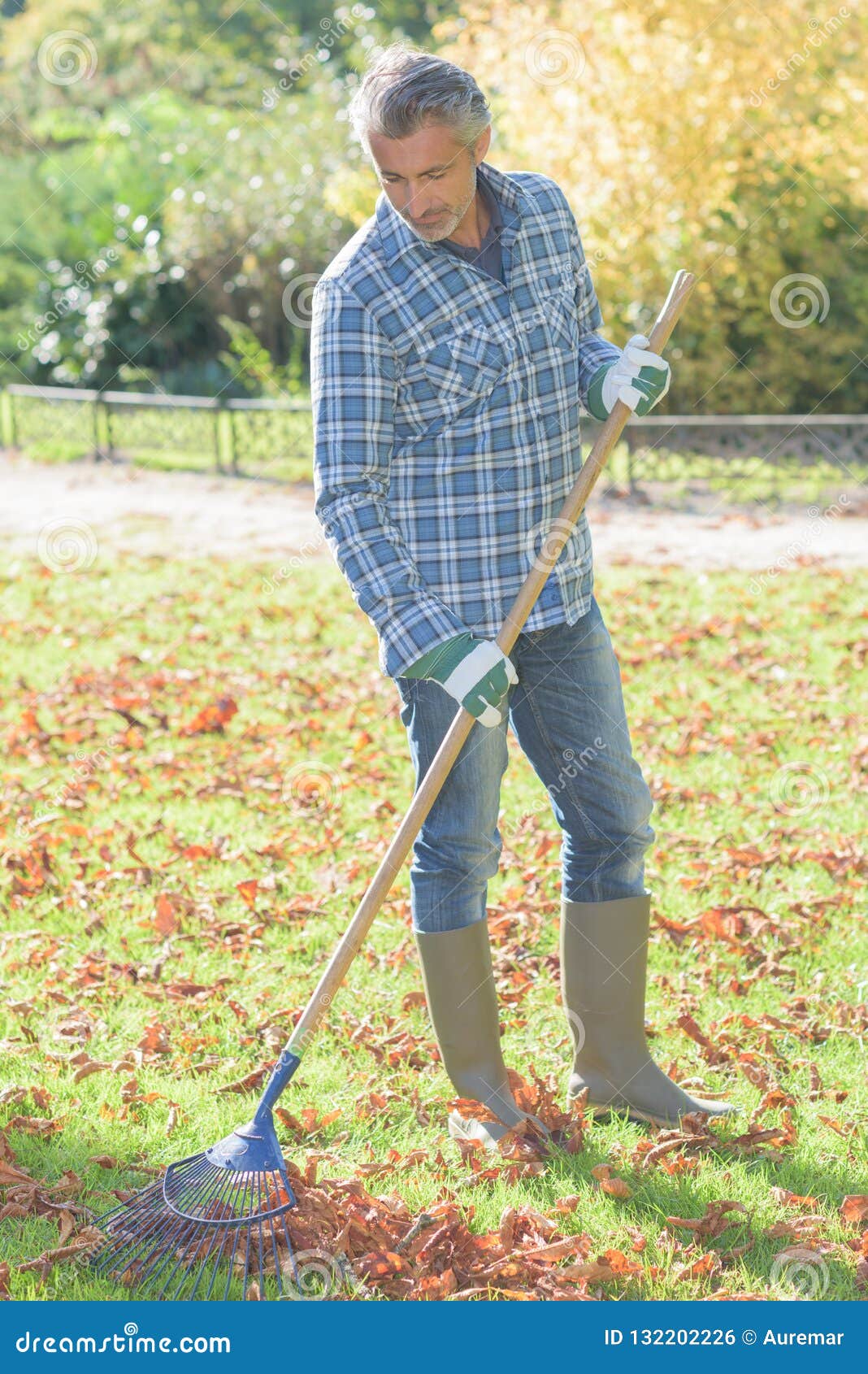 Man raking up leaves stock photo. Image of active, backyard - 132202226