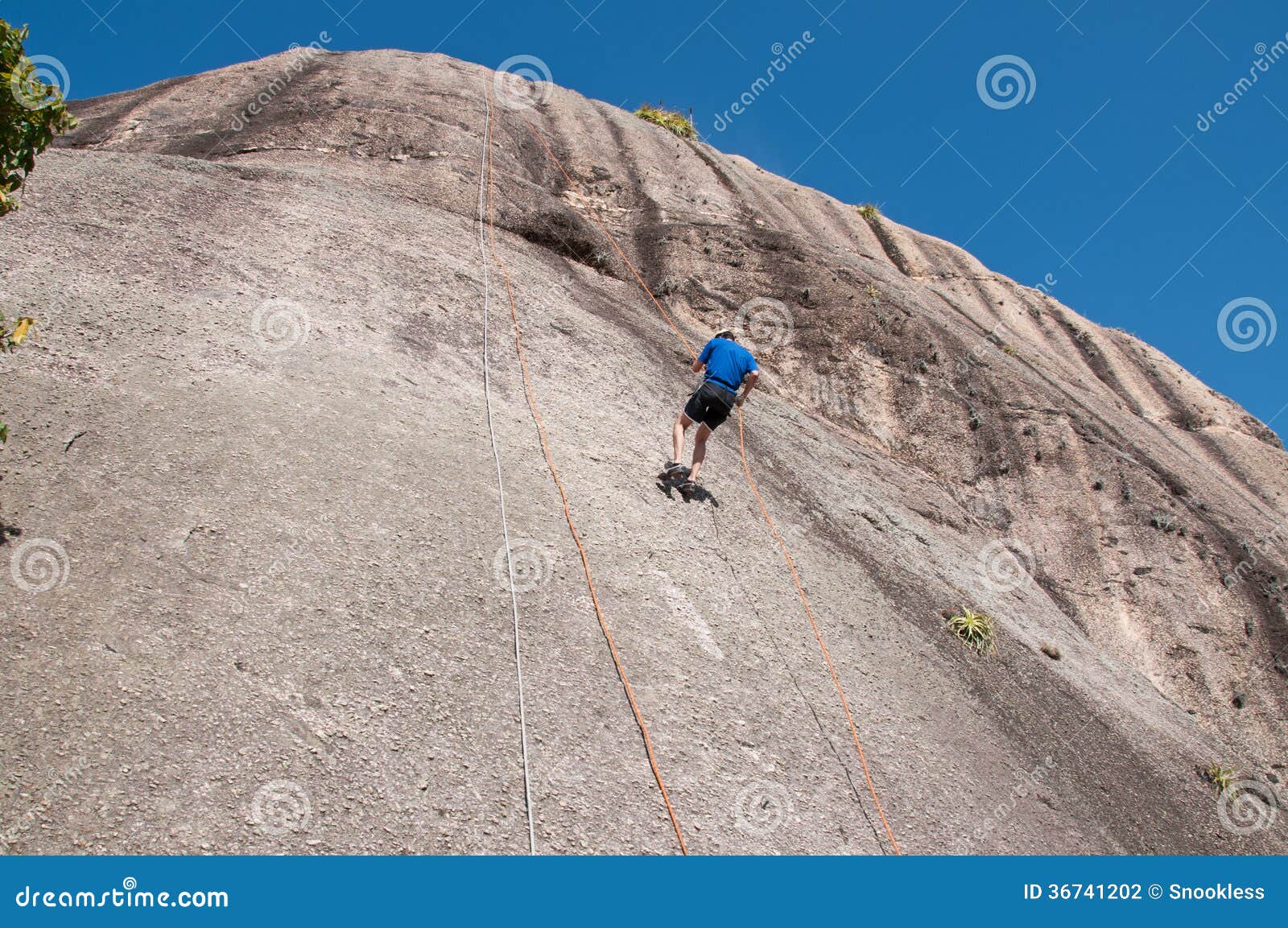 Man Rappelling from Cliff stock photo. Image of fall - 36741202