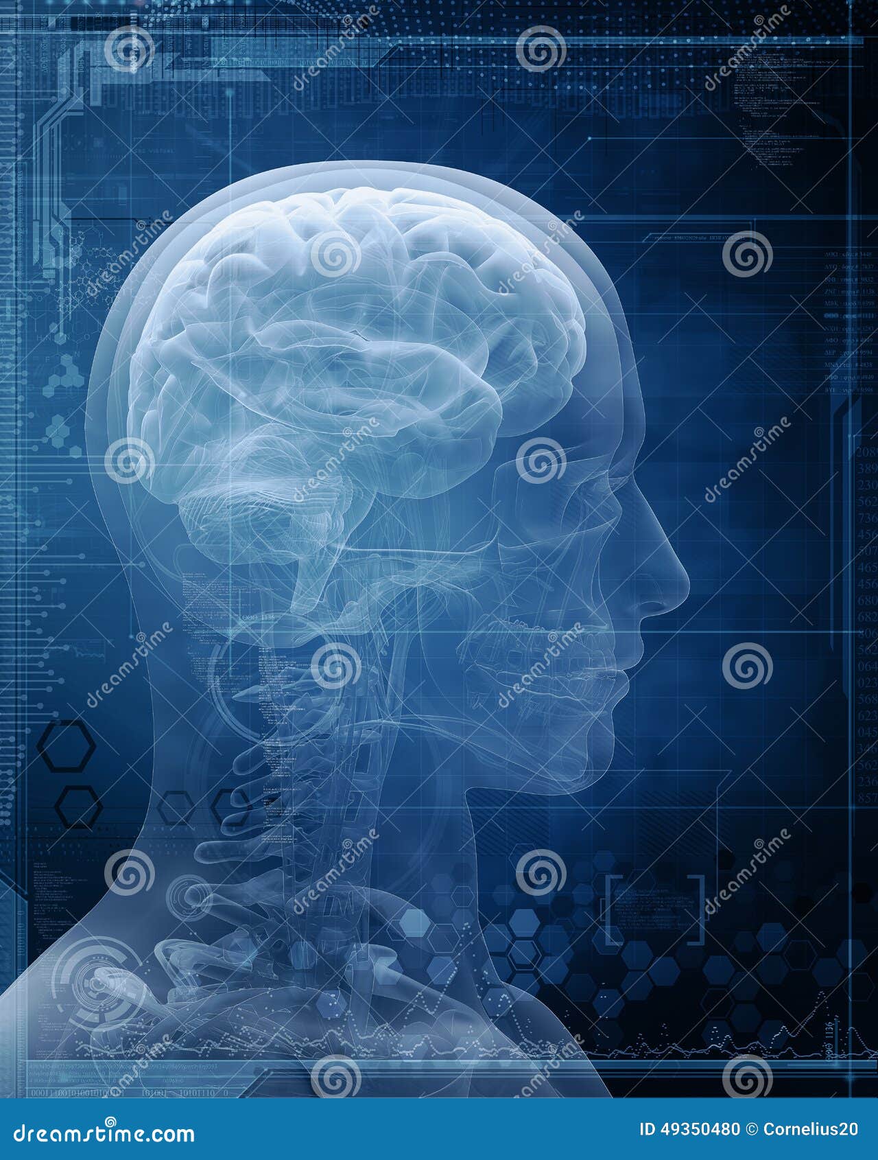 Man x-ray stock illustration. Illustration of representation - 49350480