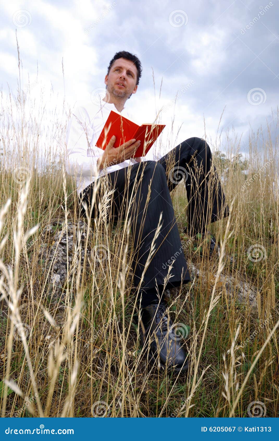 Man reading book in field stock image. Image of contemplate - 6205067
