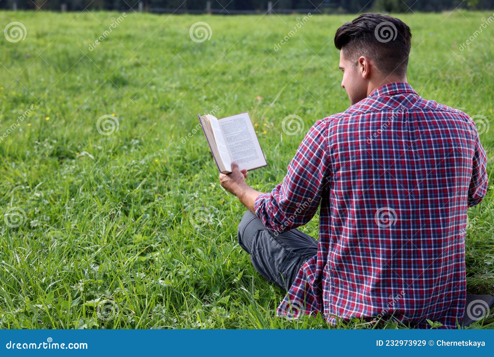 Man Reading Book on Green Grass, Back View Stock Image - Image of back ...