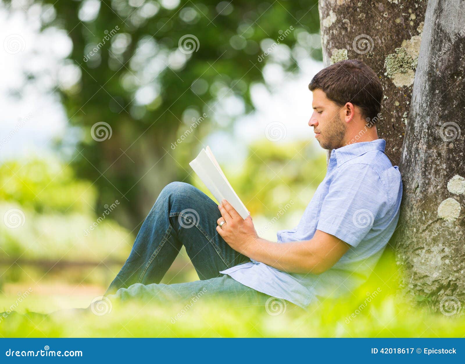 Man reading book in park stock image. Image of read, campus - 42018617