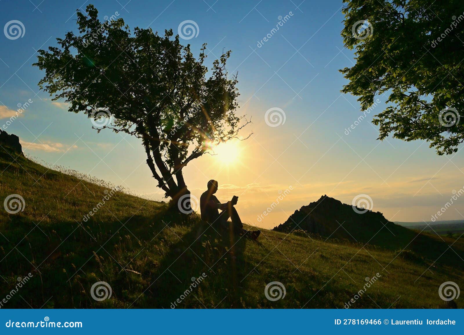 Man Reading Book Under Tree Stock Photo - Image of path, silhouettes ...