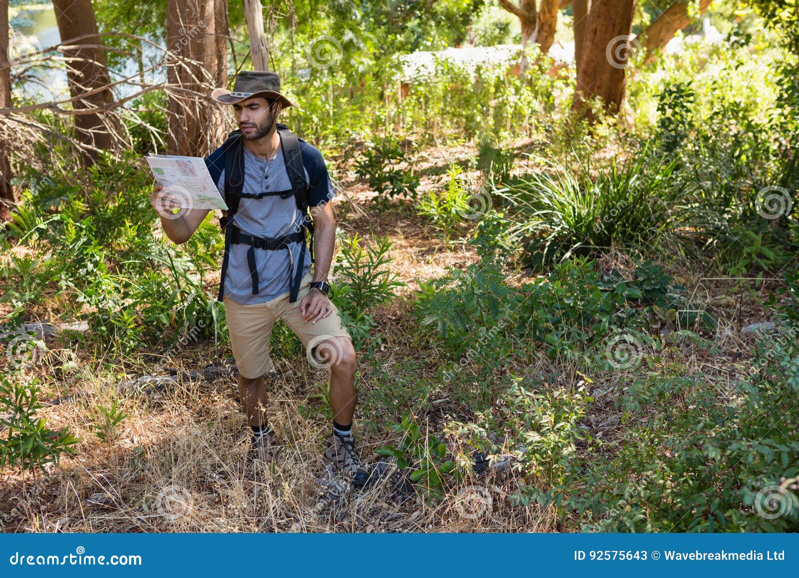 Man Reading the Map in the Forest Stock Image - Image of nature ...