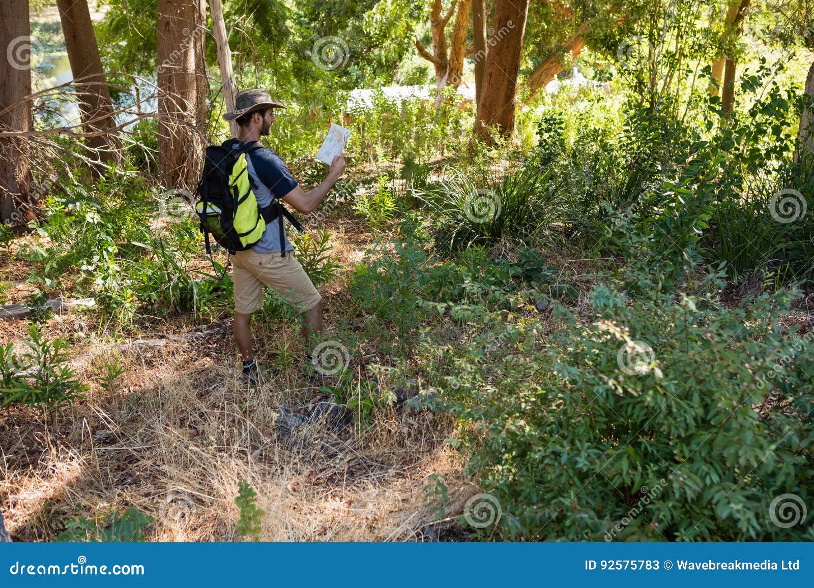 Man Reading the Map in the Forest Stock Image - Image of leisure, adult ...