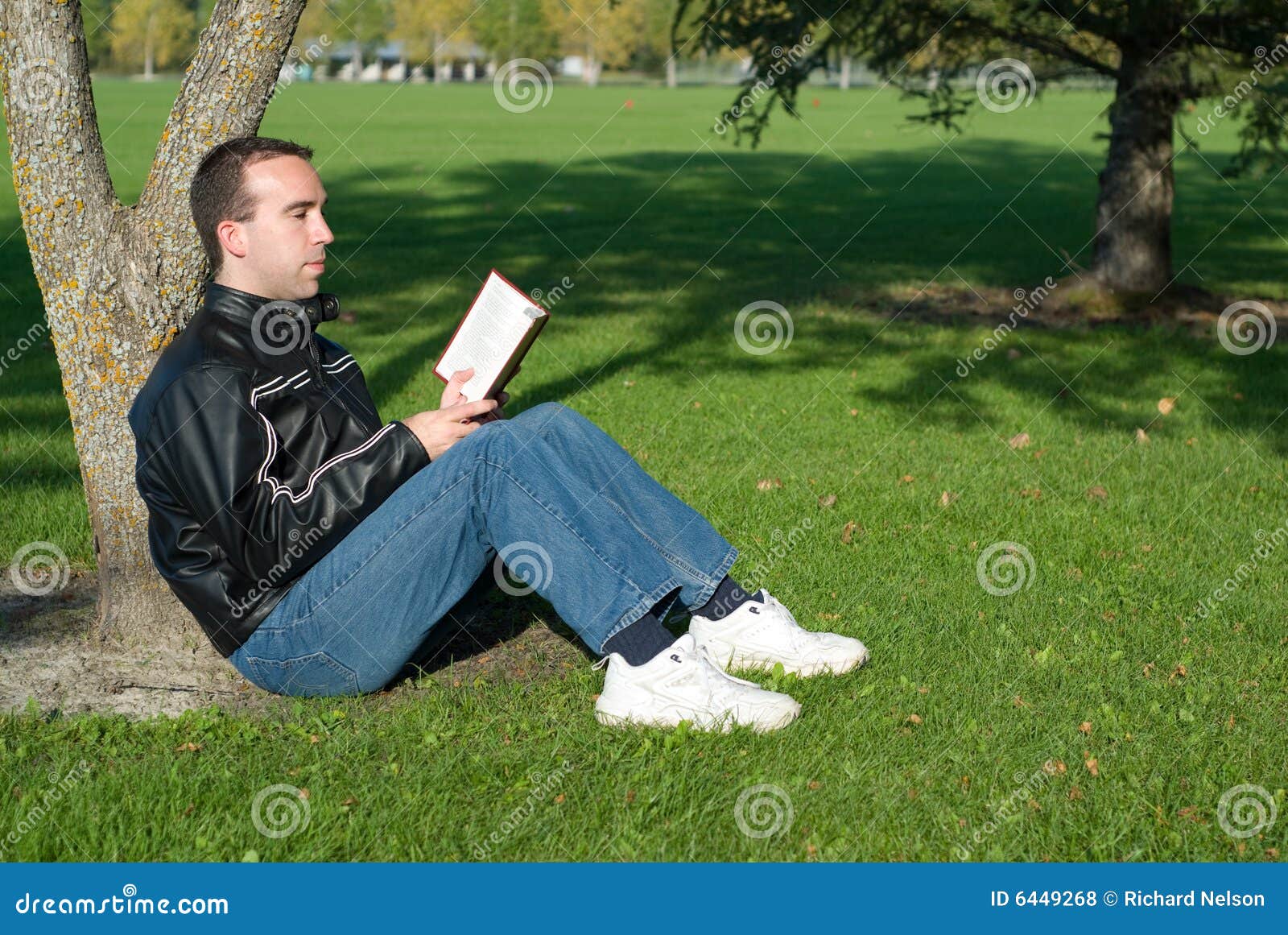 Man Reading Outside stock photo. Image of relaxation, outdoor - 6449268