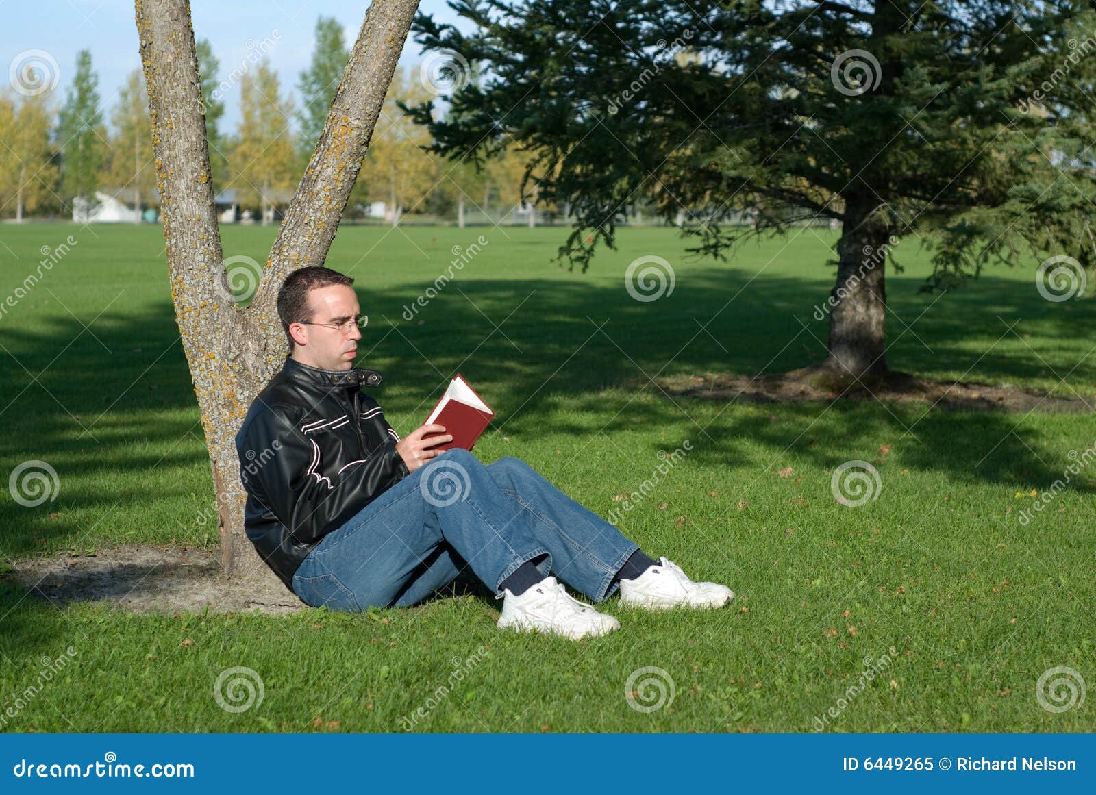 Man Reading by a Tree stock image. Image of park, sunny - 6449265