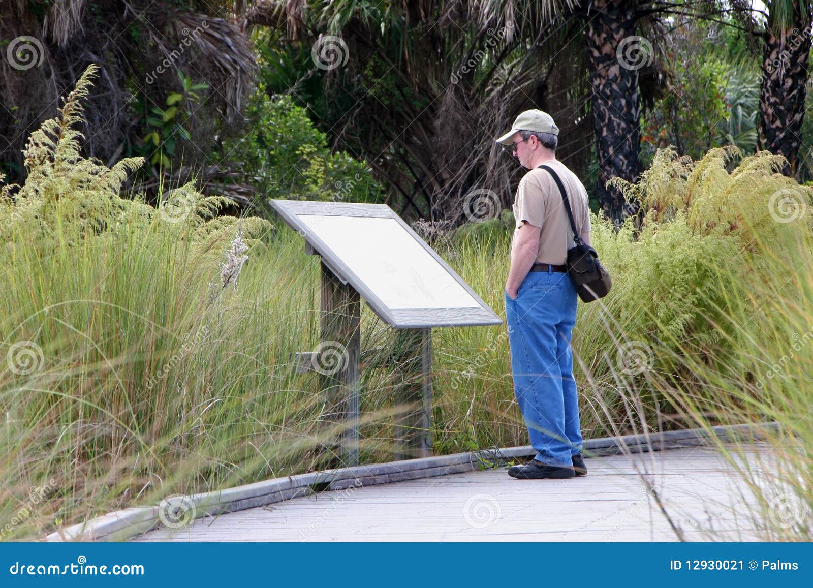 Man ReadingSign stock image. Image of aged, lush, middle - 12930021