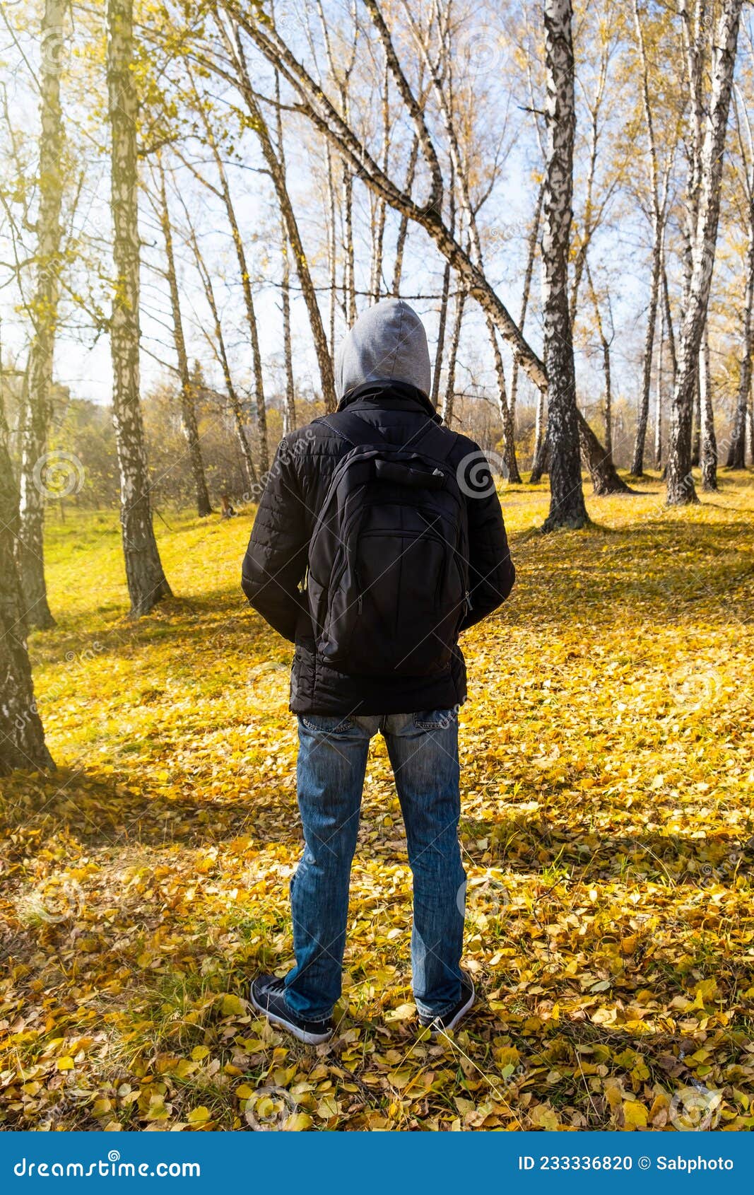 Man rear view stock photo. Image of looking, inspect - 233336820