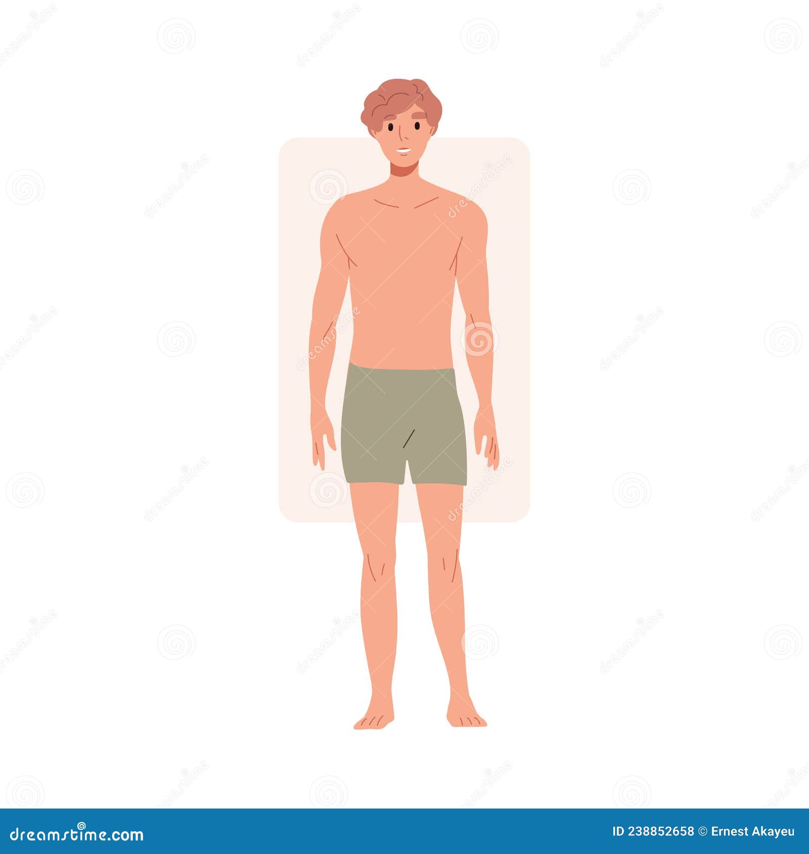 Man with Rectangle Body Shape. Male Portrait with Rectangular Figure ...