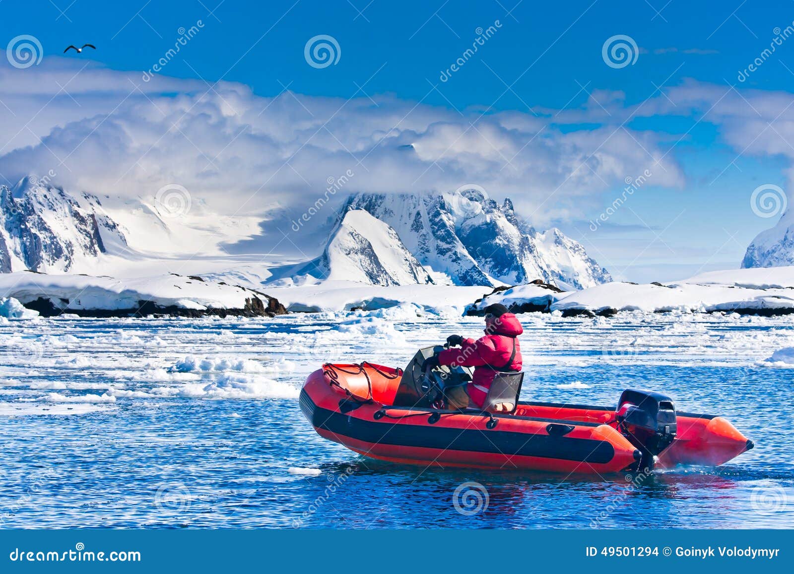 Man in the red boat stock photo. Image of speedboat, engine - 49501294