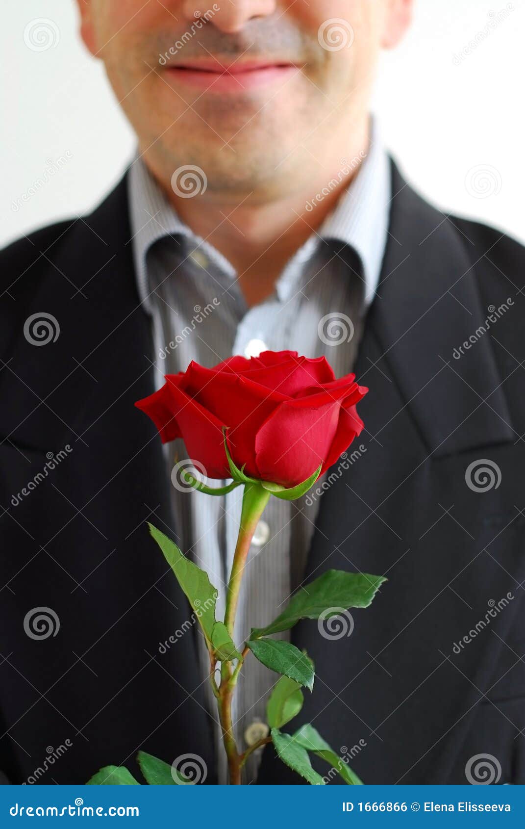 Man red rose stock photo. Image of black, flower, details - 1666866