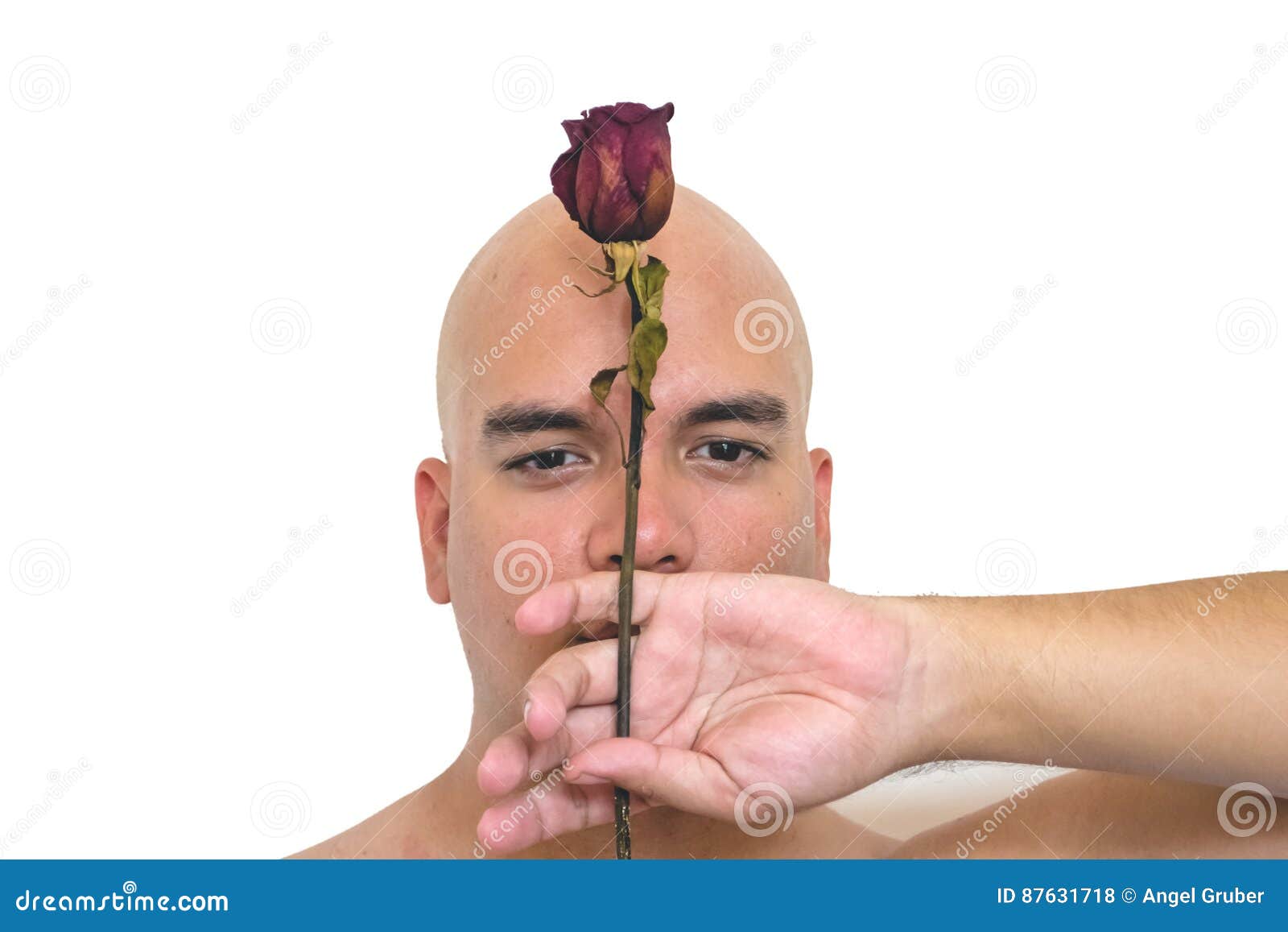 Man with a red rose stock photo. Image of enamoured, pretty - 87631718