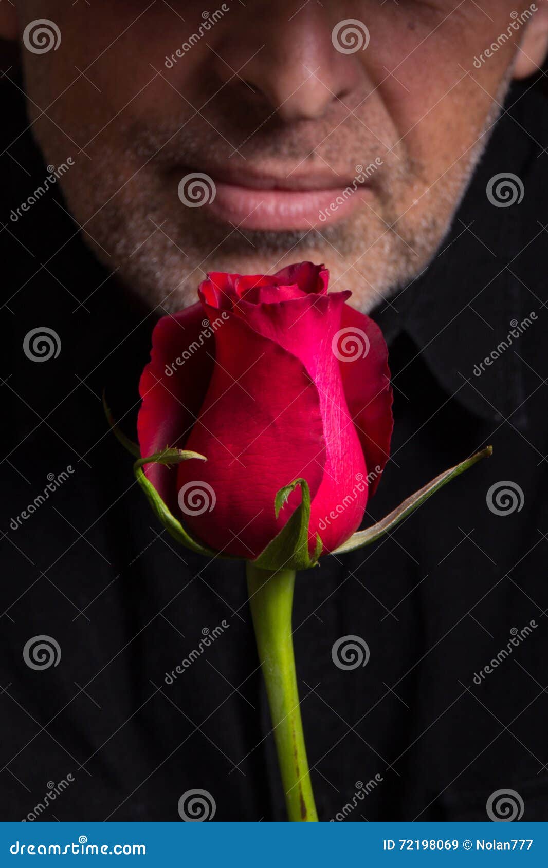 Man with a red rose stock image. Image of congratulations - 72198069