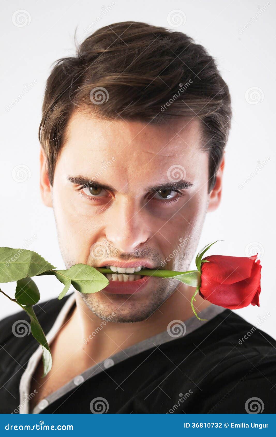 Man with a Red Rose in His Mouth Stock Photo - Image of macho, portrait ...