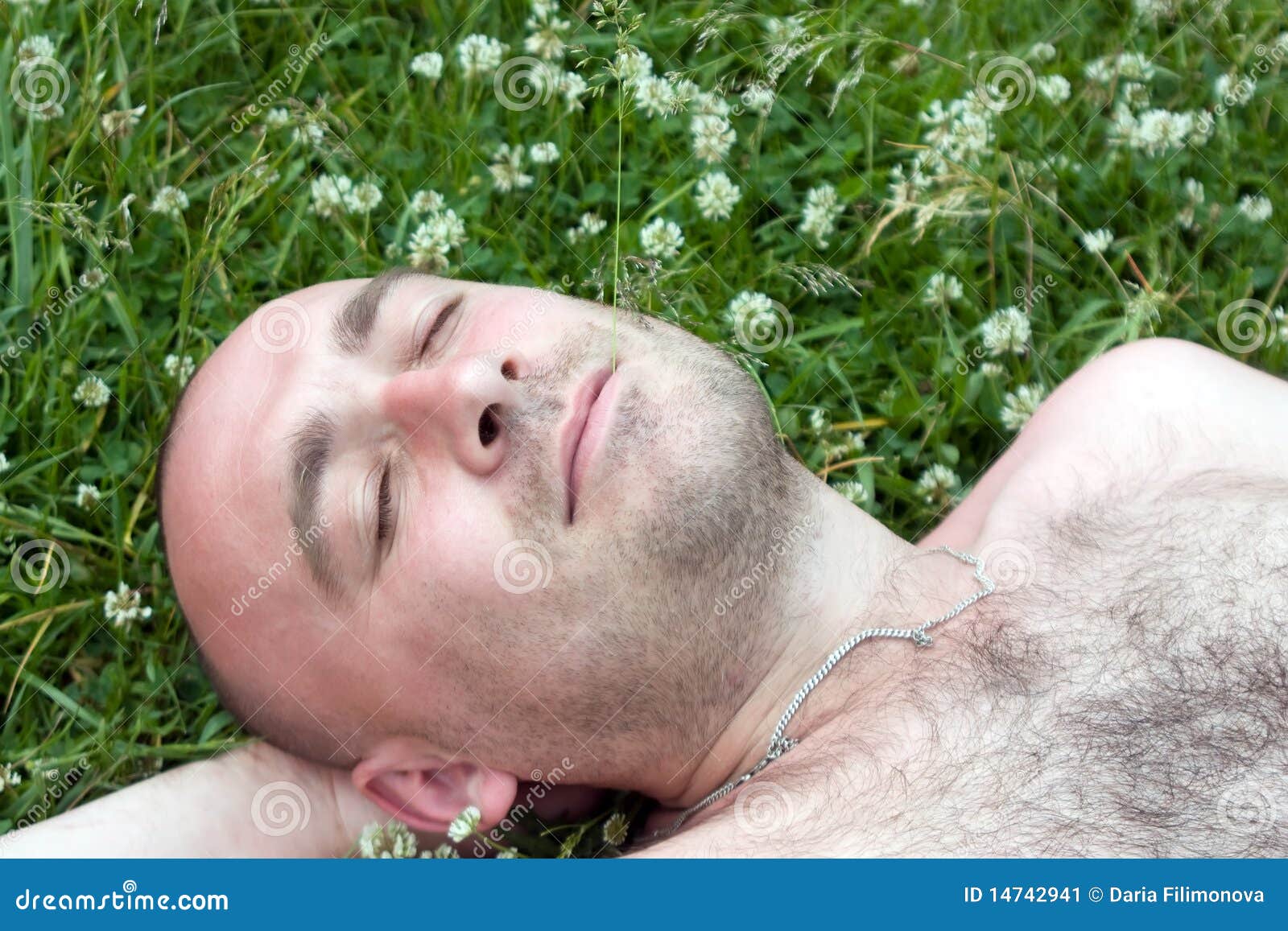 Man Relax Over Green Meadow Stock Image - Image of caucasian ...