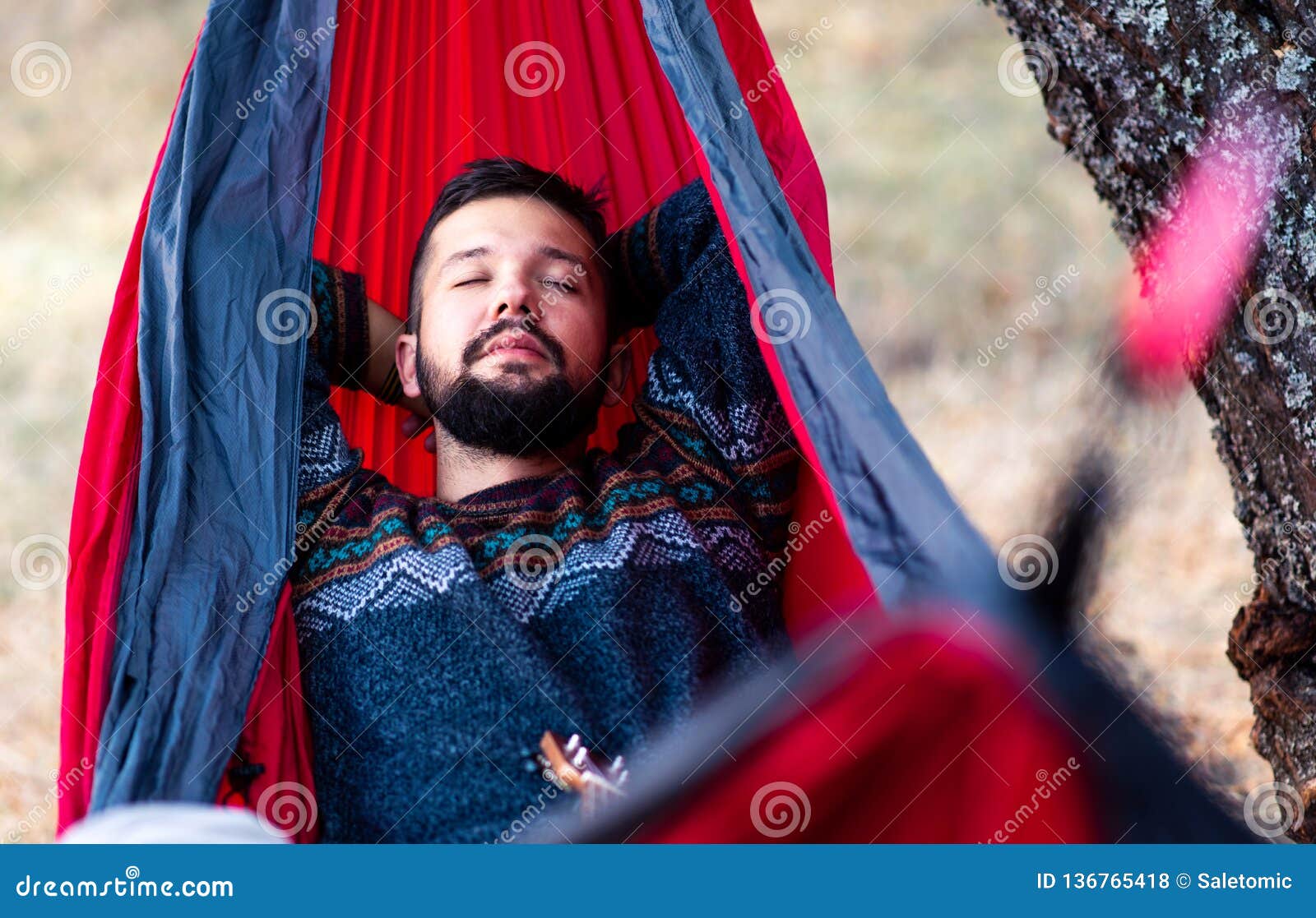 Man Relaxing in a Hammock on a Picnic Stock Photo - Image of natural ...