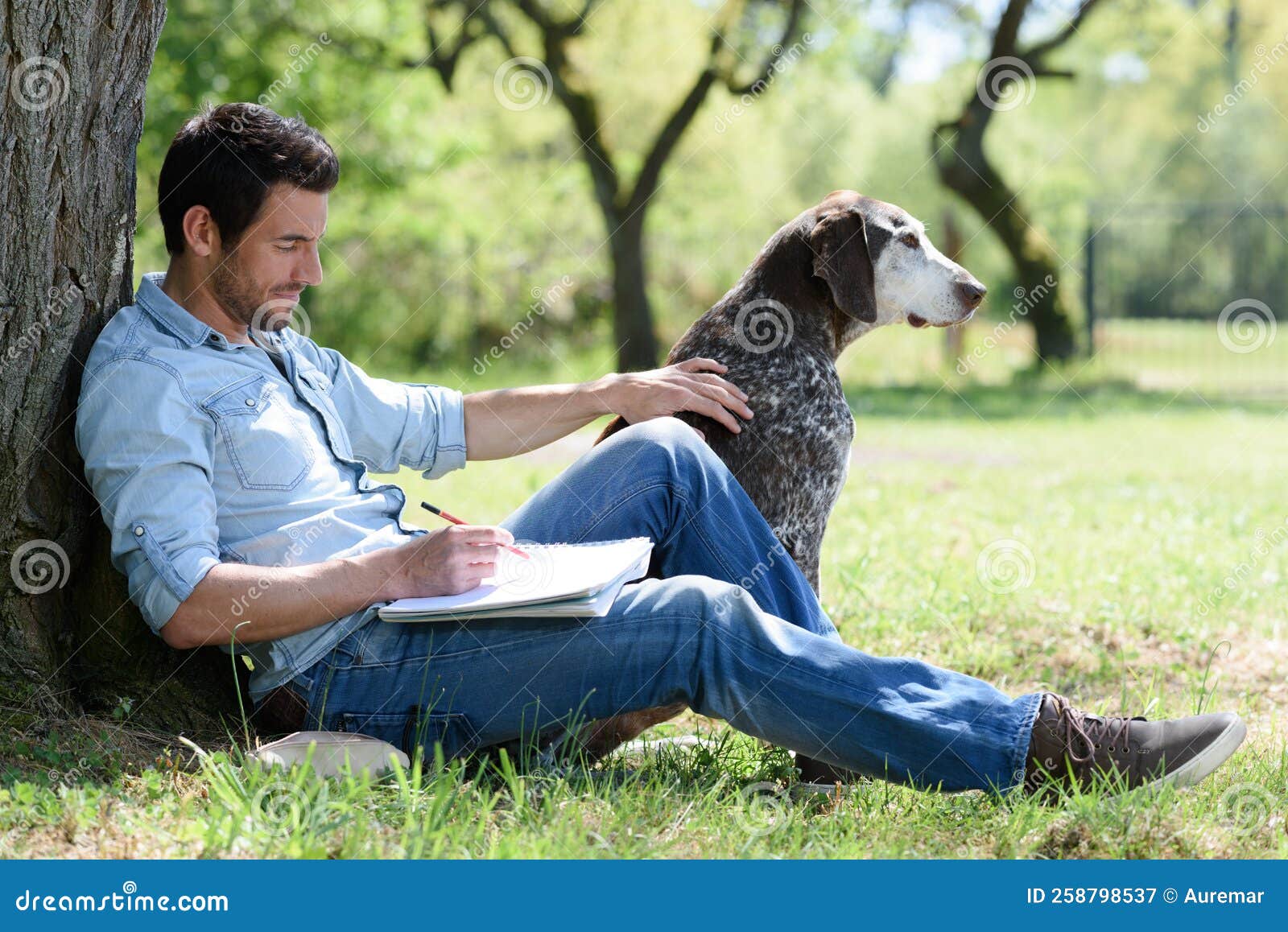 Man Relaxing in Park with Dog Stock Image - Image of oneperson ...