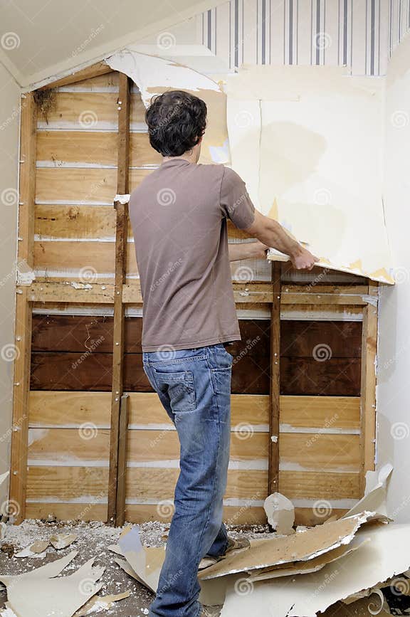 Man and renovation stock image. Image of male, handy - 10219803