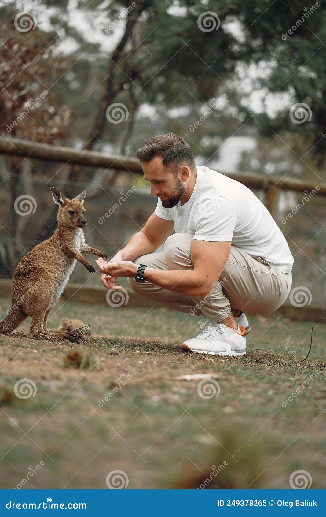 Man in the Reserve is Playing with a Kangaroo Stock Image - Image of ...
