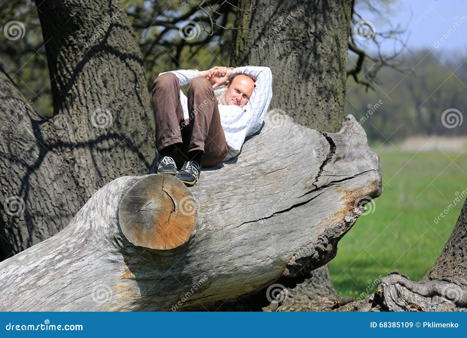 Man rest on old tree stock image. Image of looking, outdoors - 68385109