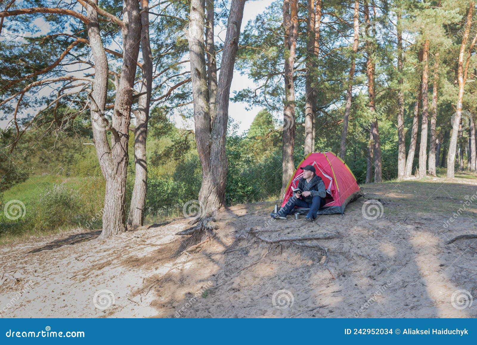 Man Resting on the Campsite Reading a Book Stock Photo - Image of sunny ...